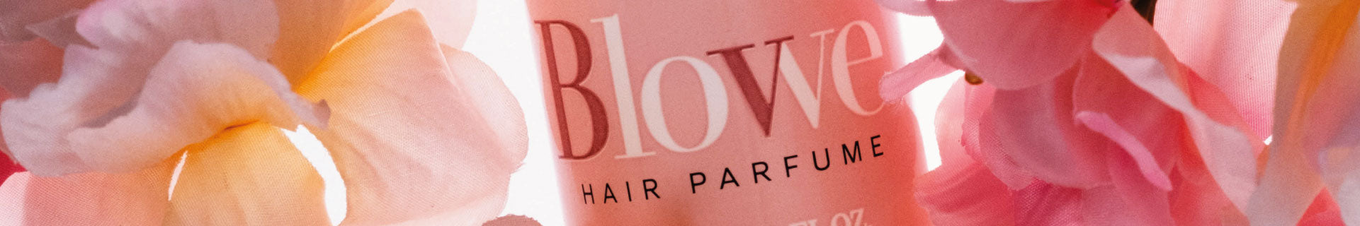 BLOWE – BSB Distribution
